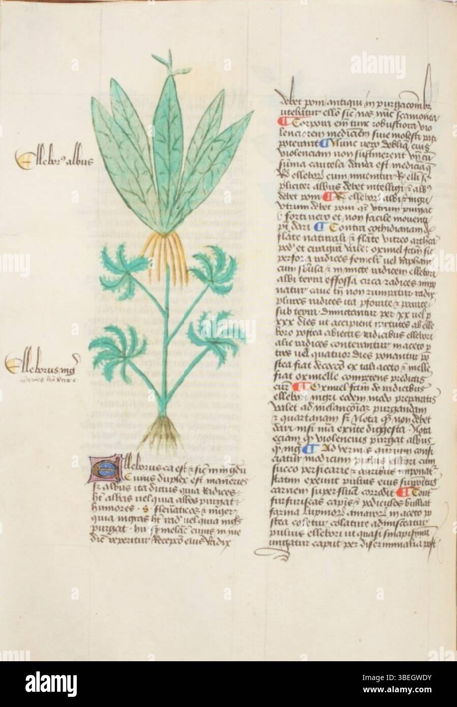 This 1458 manuscript page, Estense alfa.l.09.28, f.059v, is part of an ...