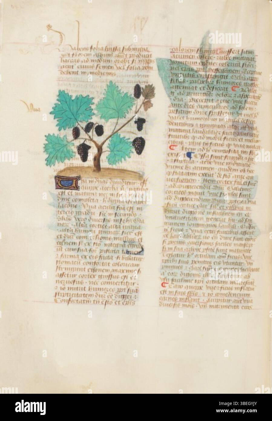 The folio from *Estense alfa.l.09.28* (1458) shows medieval Italian ...