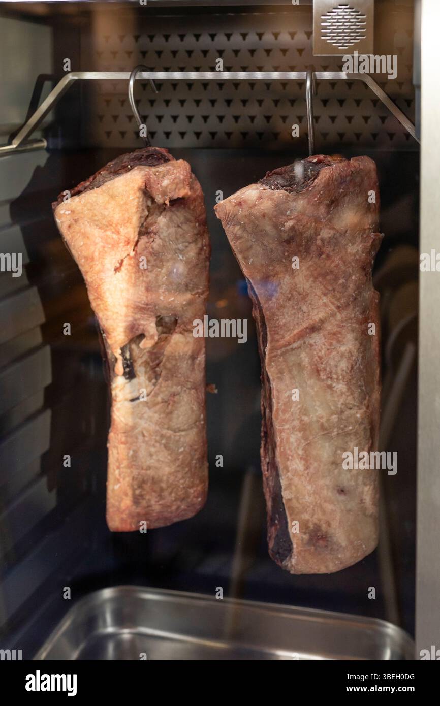 Two large beef cuts hang inside a dry aging fridge, showcasing the ...