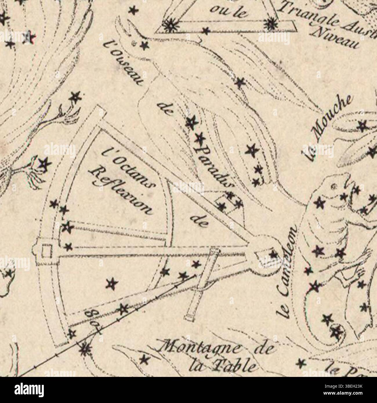 Apus and Octans are two constellations depicted in Abbé Nicolas-Louis ...