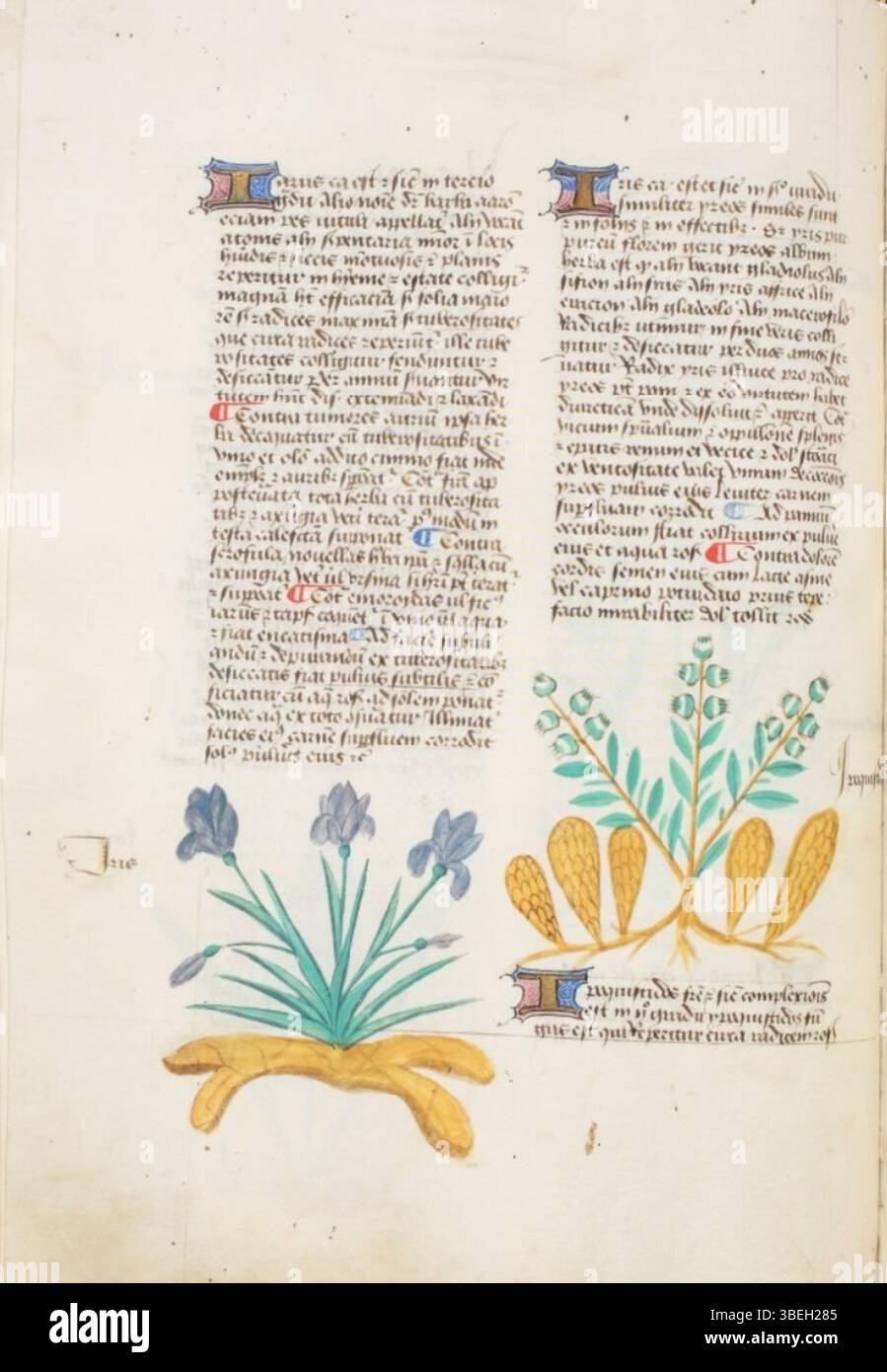 The manuscript Estense alfa.l.09.28, folio 074v, dates to 1458. It is a ...