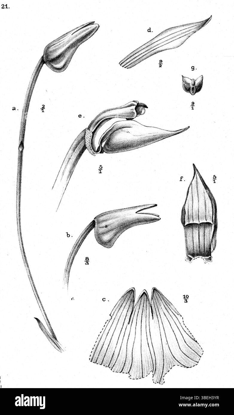 Unique structure showcases Black and White Stock Photos & Images - Alamy