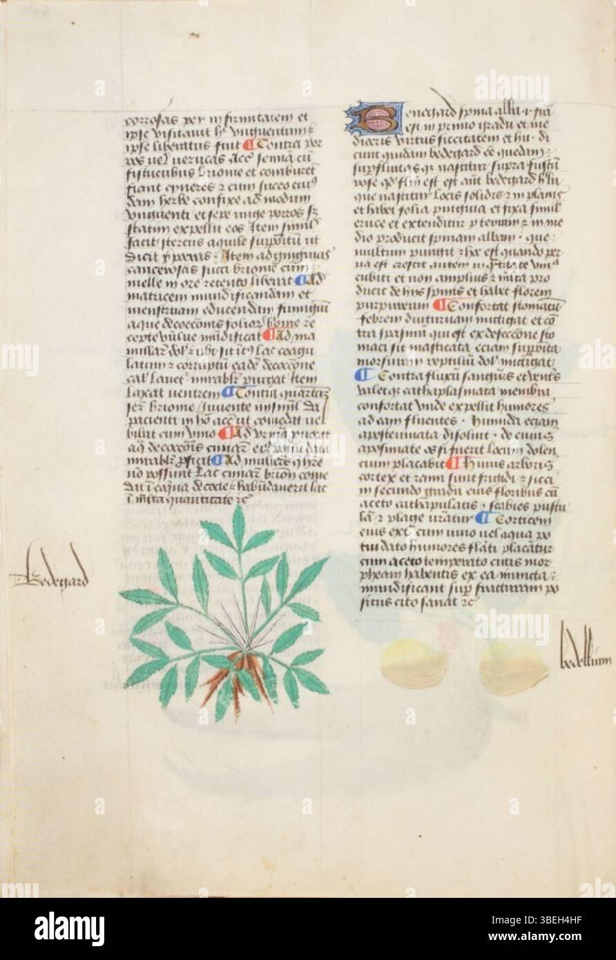 The 1458 page f.027v from the Estense alfa.l.09.28 manuscript contains ...