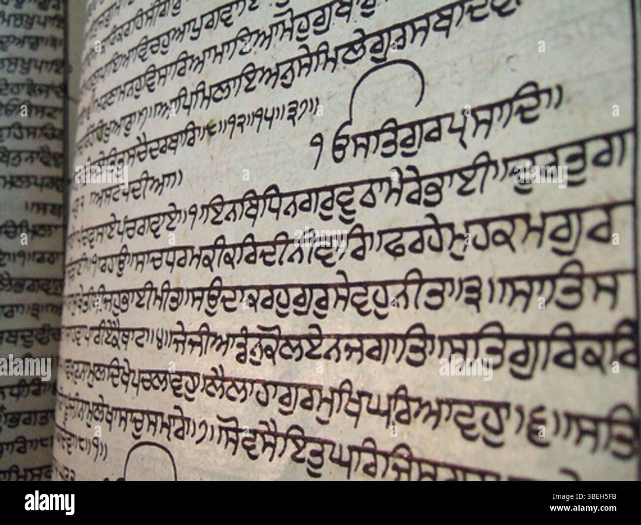 Calligraphic tails hi-res stock photography and images - Alamy
