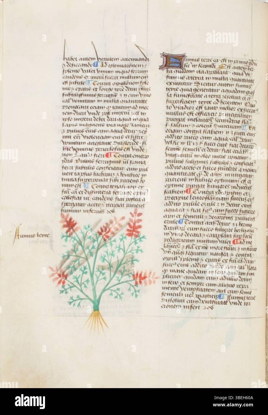 Estense alfa.l.09.28, f.060v, dating from 1458, is a page from a ...