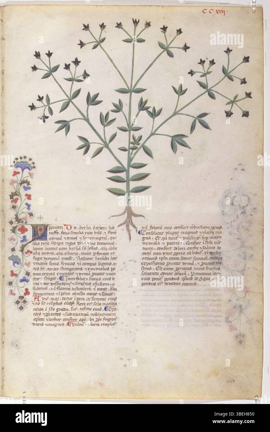 Manuscript folio 292r from Casanatense 459, dating to the late 14th ...