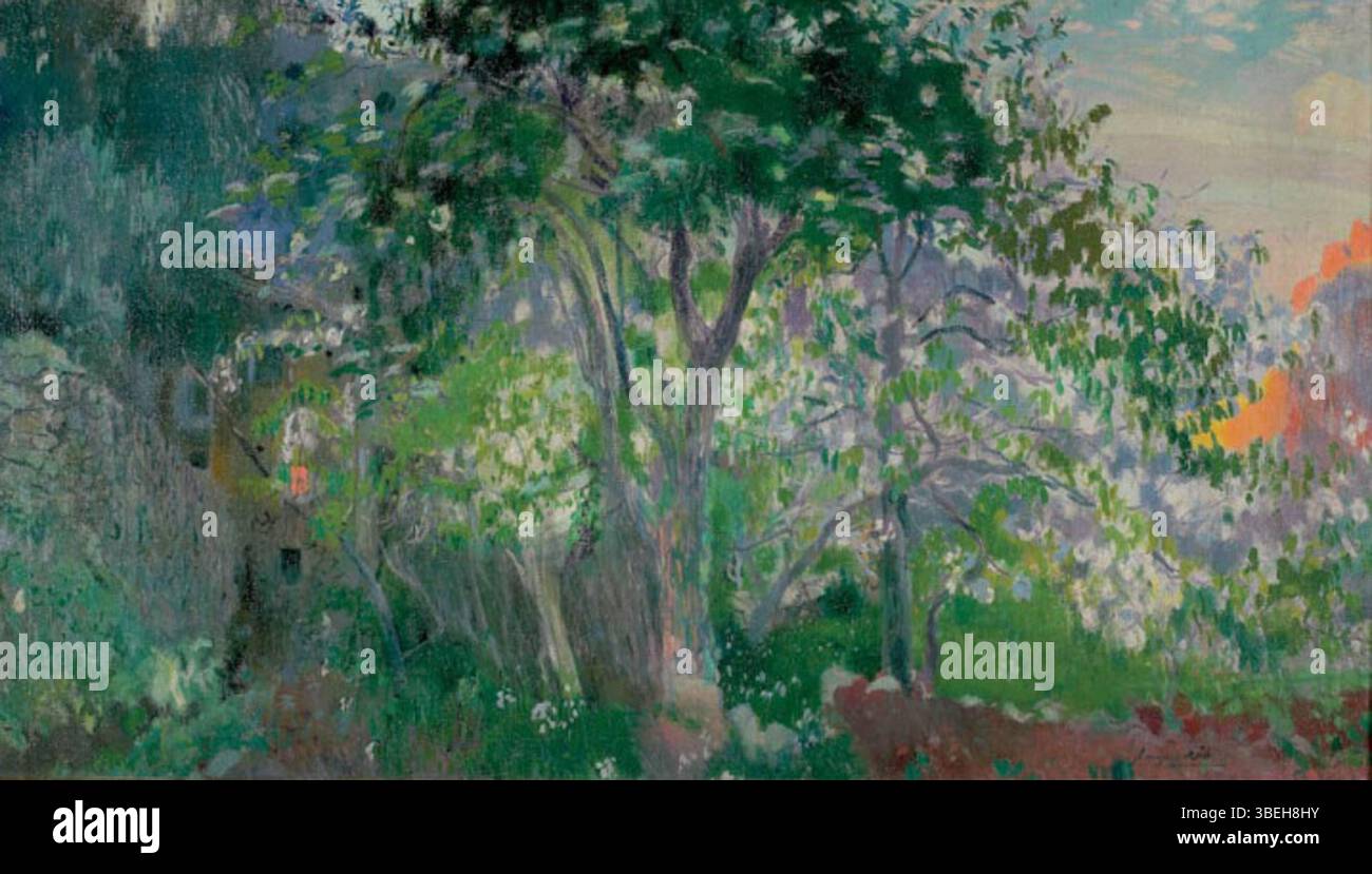 El gran arbre sa calobra hi-res stock photography and images - Alamy