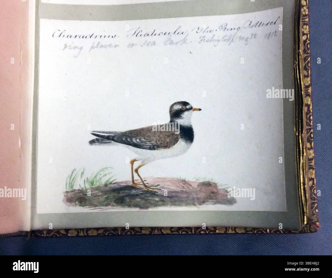 Border between devon and cornwall hi-res stock photography and images ...