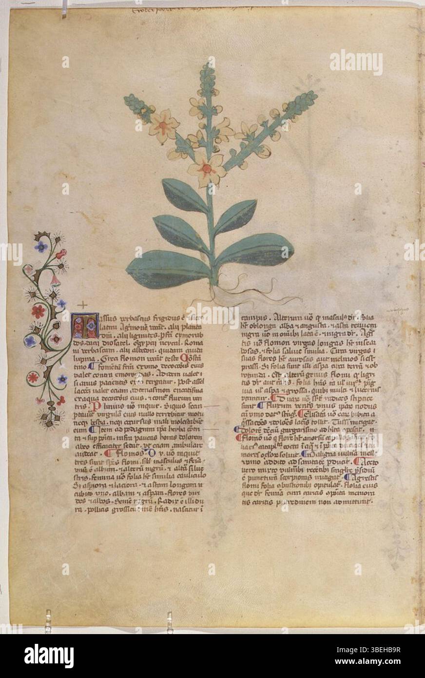 Casanatense 459, f.261v is another page from the manuscript, illustrating medieval script and ...