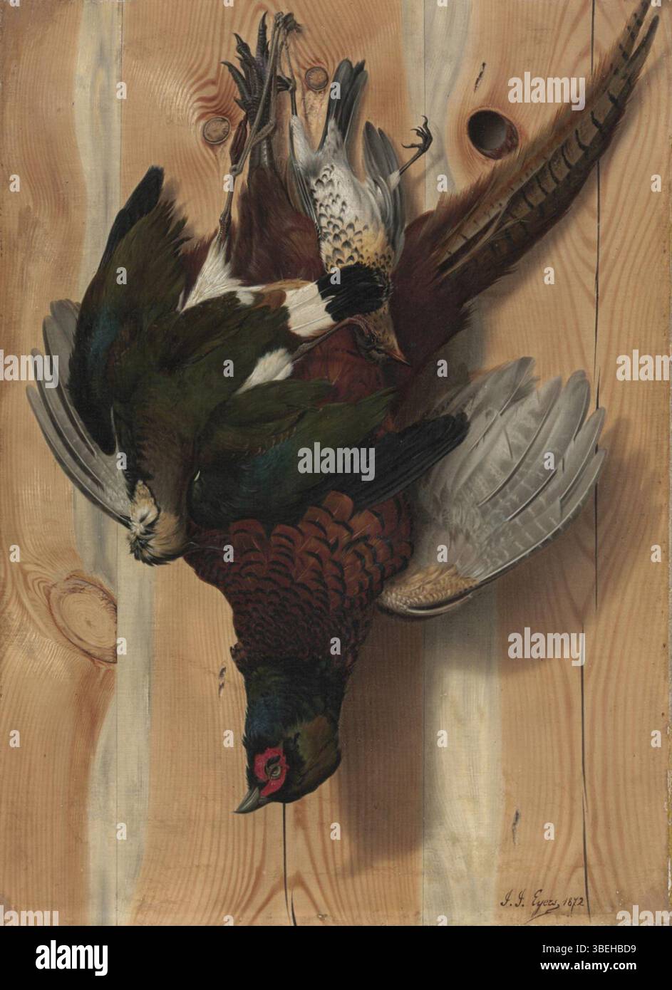 'Hanging Game Birds (Pheasant)' (1872) by John J. Eyers depicts ...