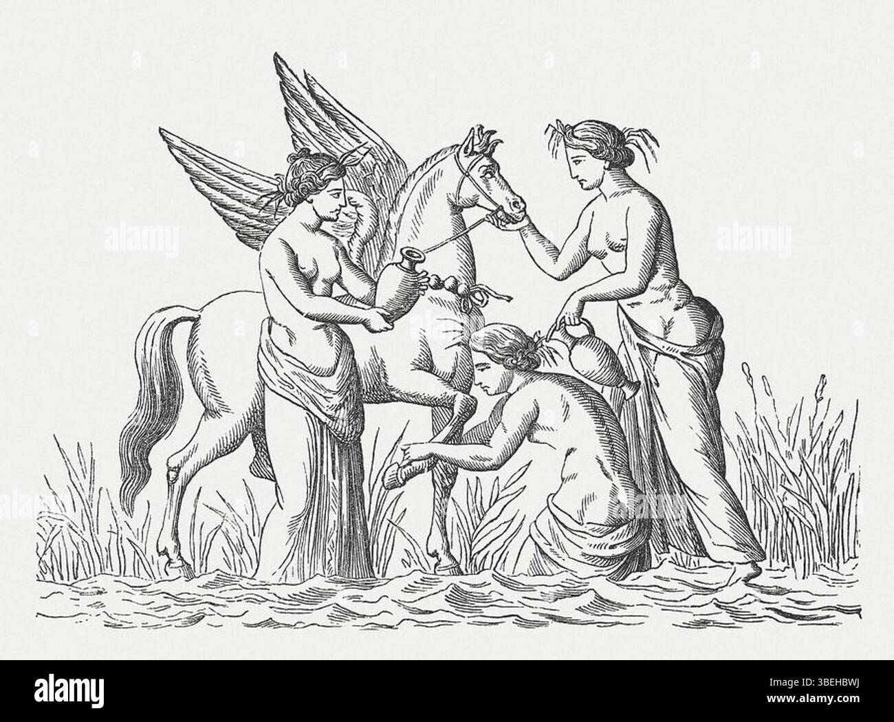 An 1878 wood engraving portraying Pegasus and the Nymphs from Greek ...