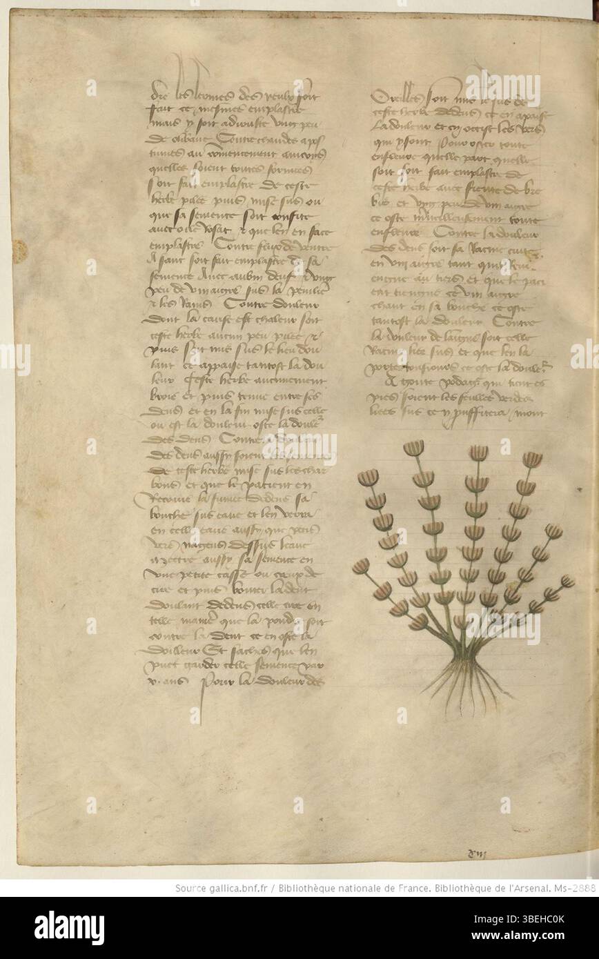 Manuscript folio 104v of Arsenal Ms-2888 features 15th-century Gothic ...