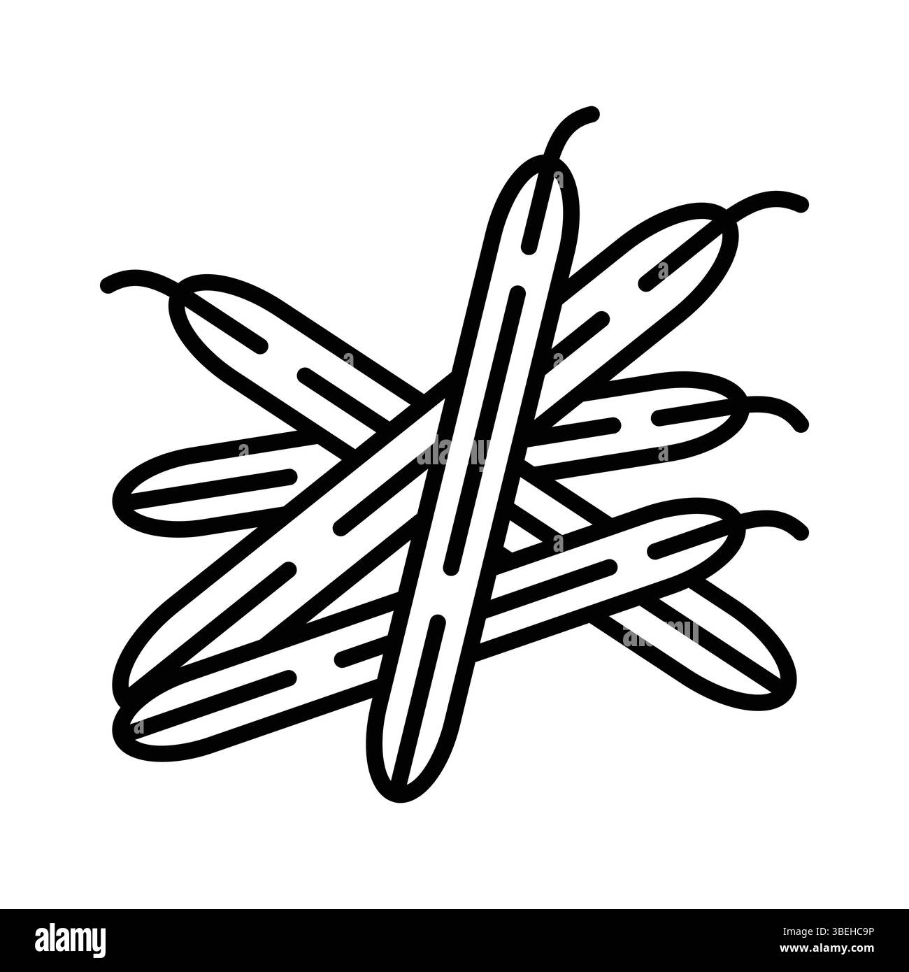 Green beans vector design, pods, haricot verts, healthy and organic ...