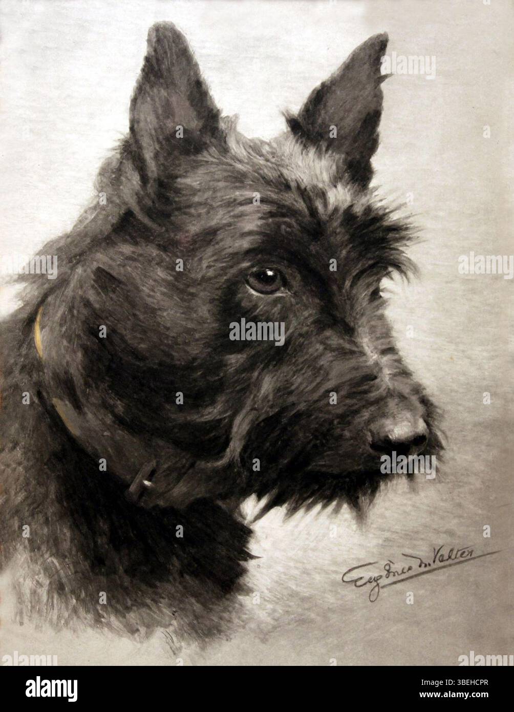 Hamshere gallery hi-res stock photography and images - Alamy