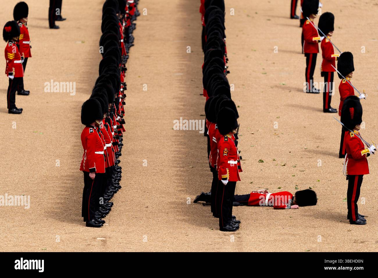 A member of the Household Cavalry faints during the Brigade Major's ...