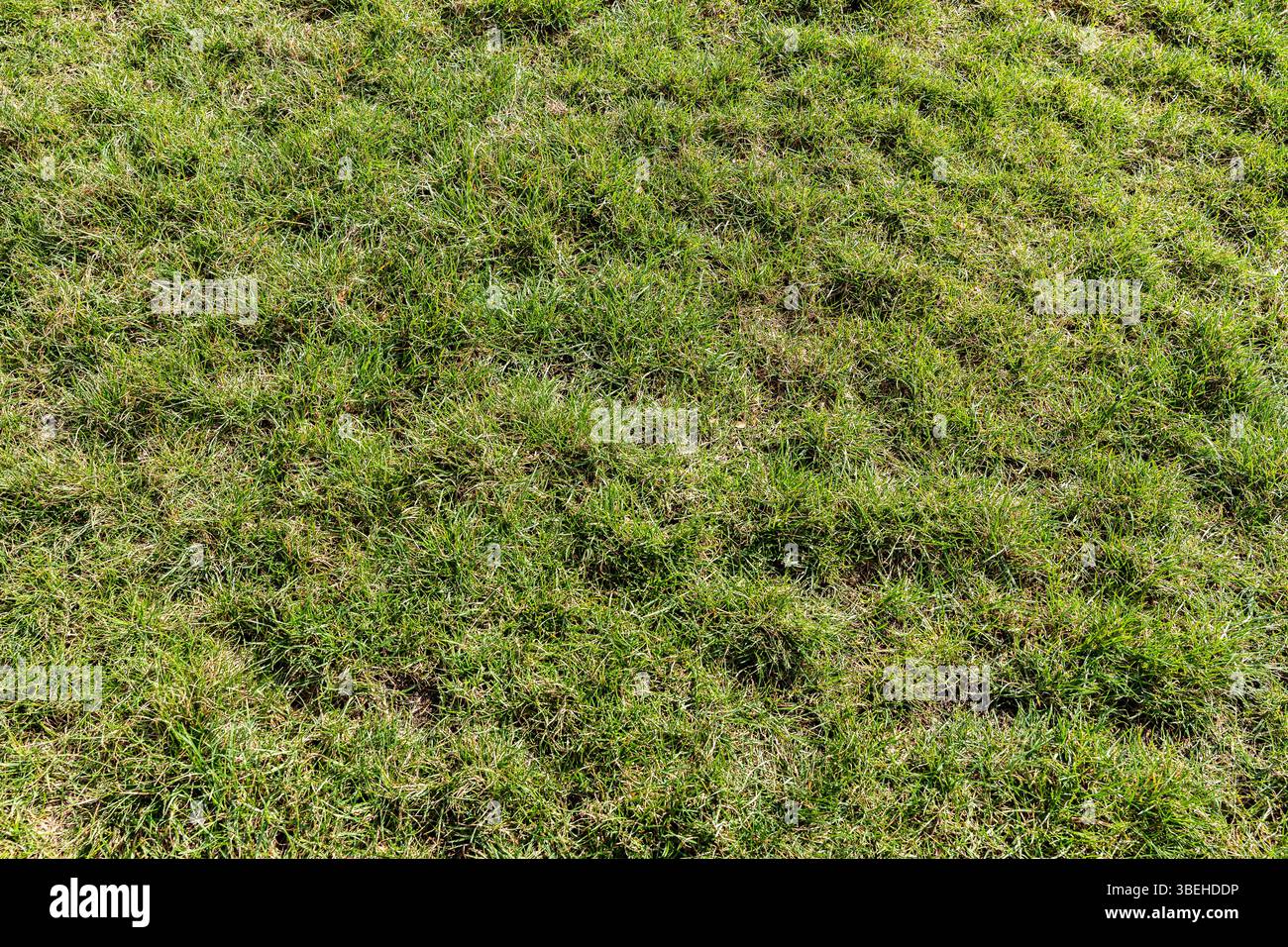 Landscaping visuals hi-res stock photography and images - Alamy