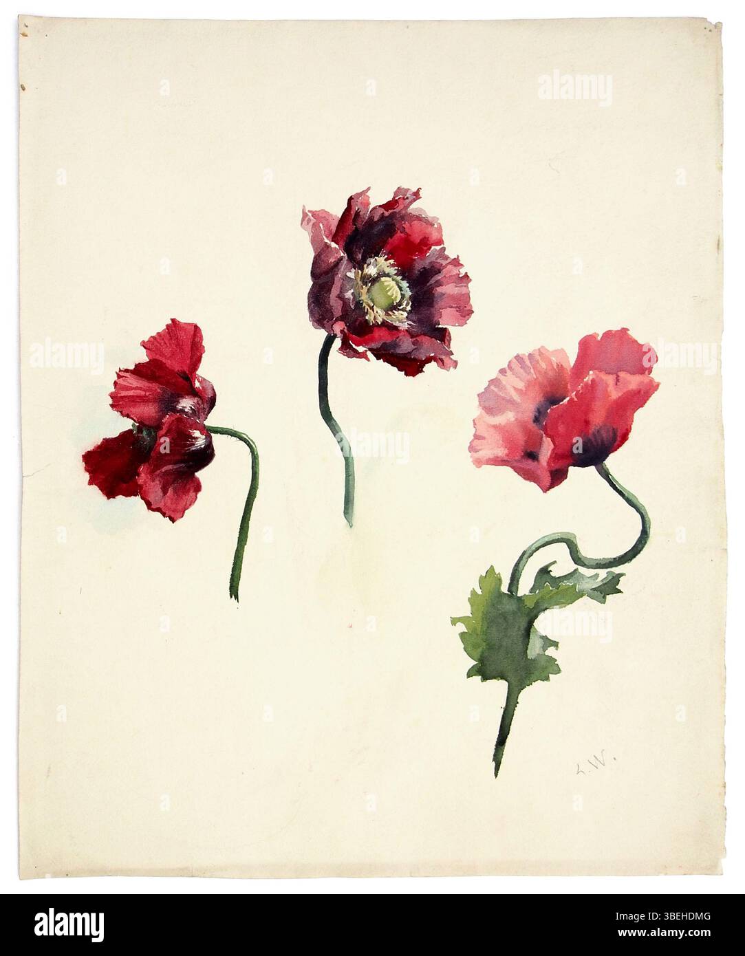 Digital legacy Cut Out Stock Images & Pictures - Alamy