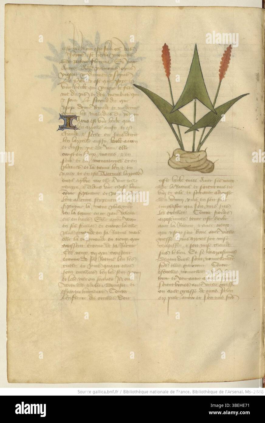 Folio 105v from manuscript Arsenal Ms-2888, dated between 1425 and 1450 ...