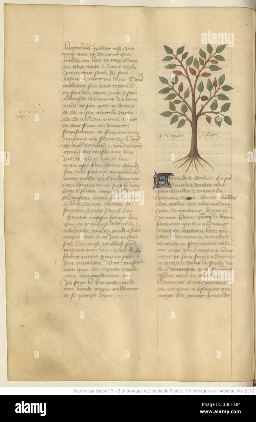 Arsenal Ms-2888 f.013v is a page from a medieval codex, dating back to ...