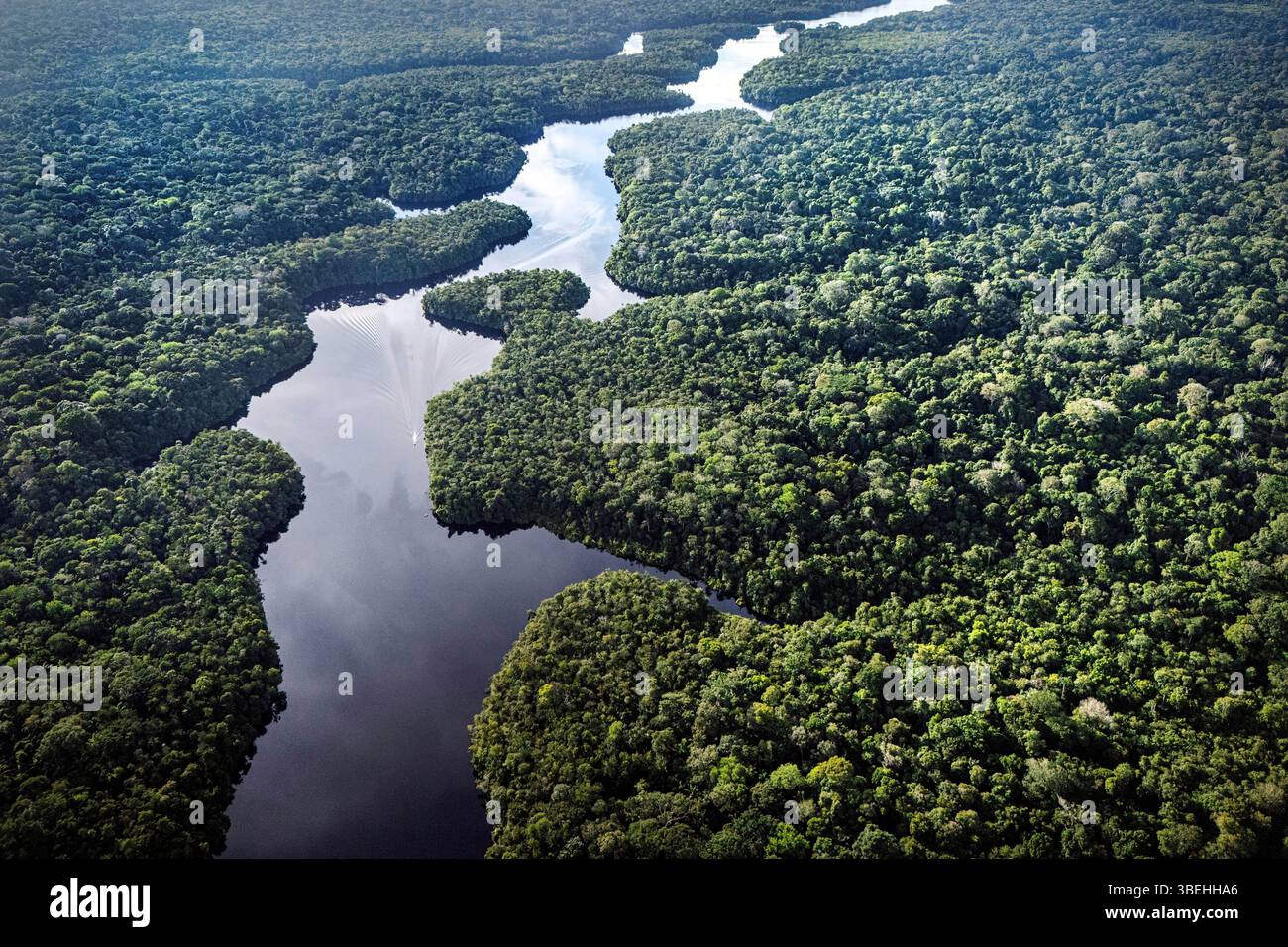 Curua River flows near the Esecaflor project, where scientists mimic ...