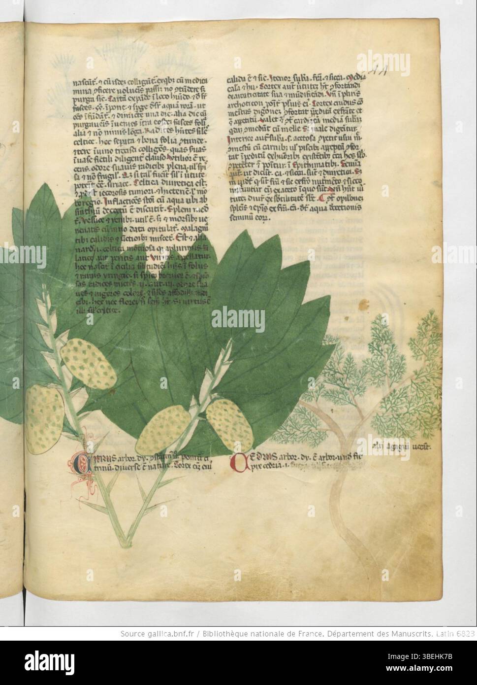 This manuscript page from 'BnF Latin 6823', created between 1301 and ...
