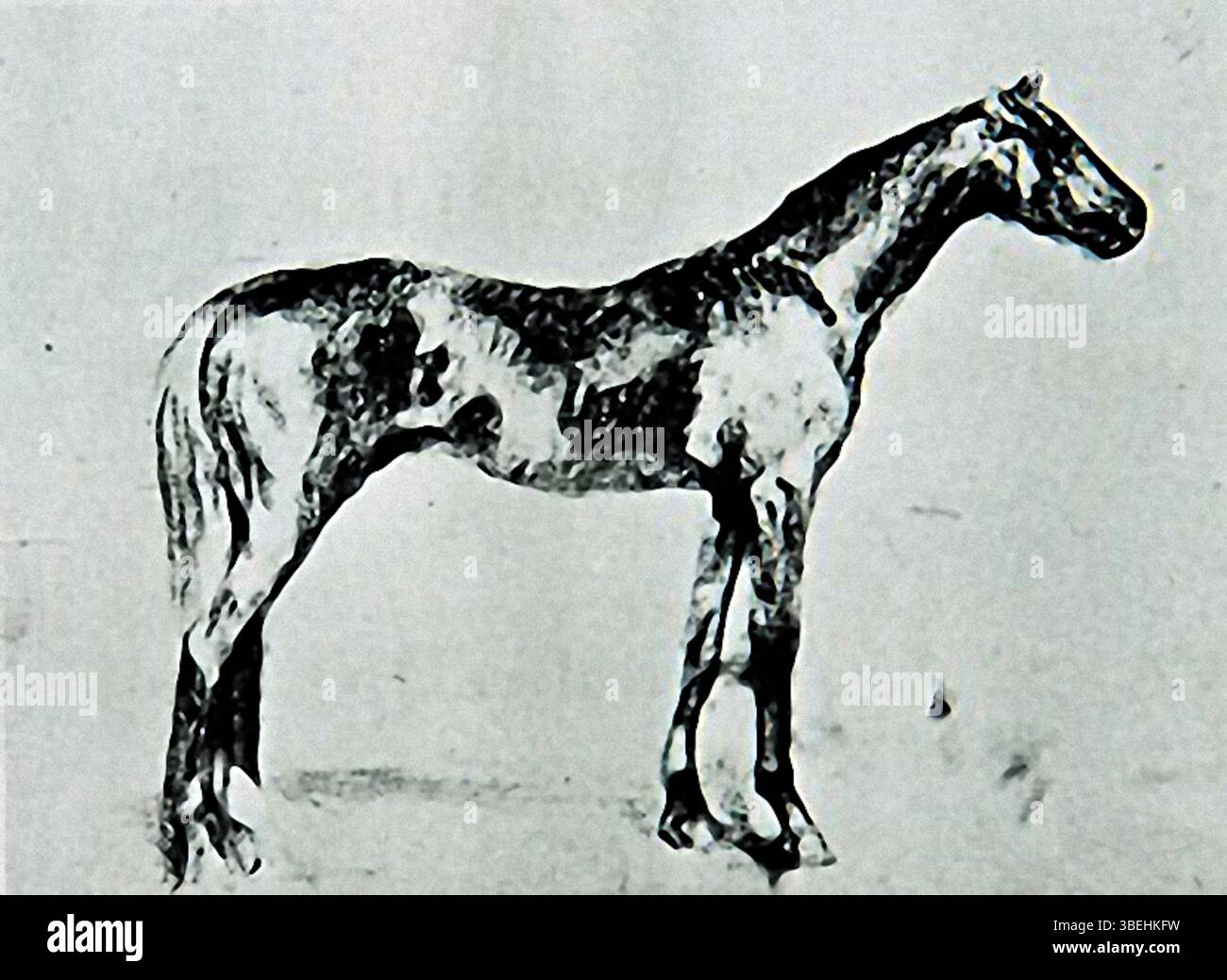 In this painting, Edgar Degas captures the poise and strength of a ...