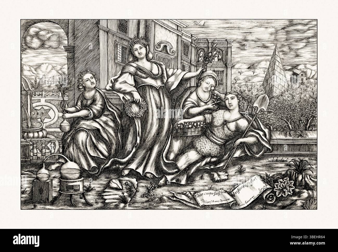 Antique botanical frontispiece. Detailed black and white engraving from ...