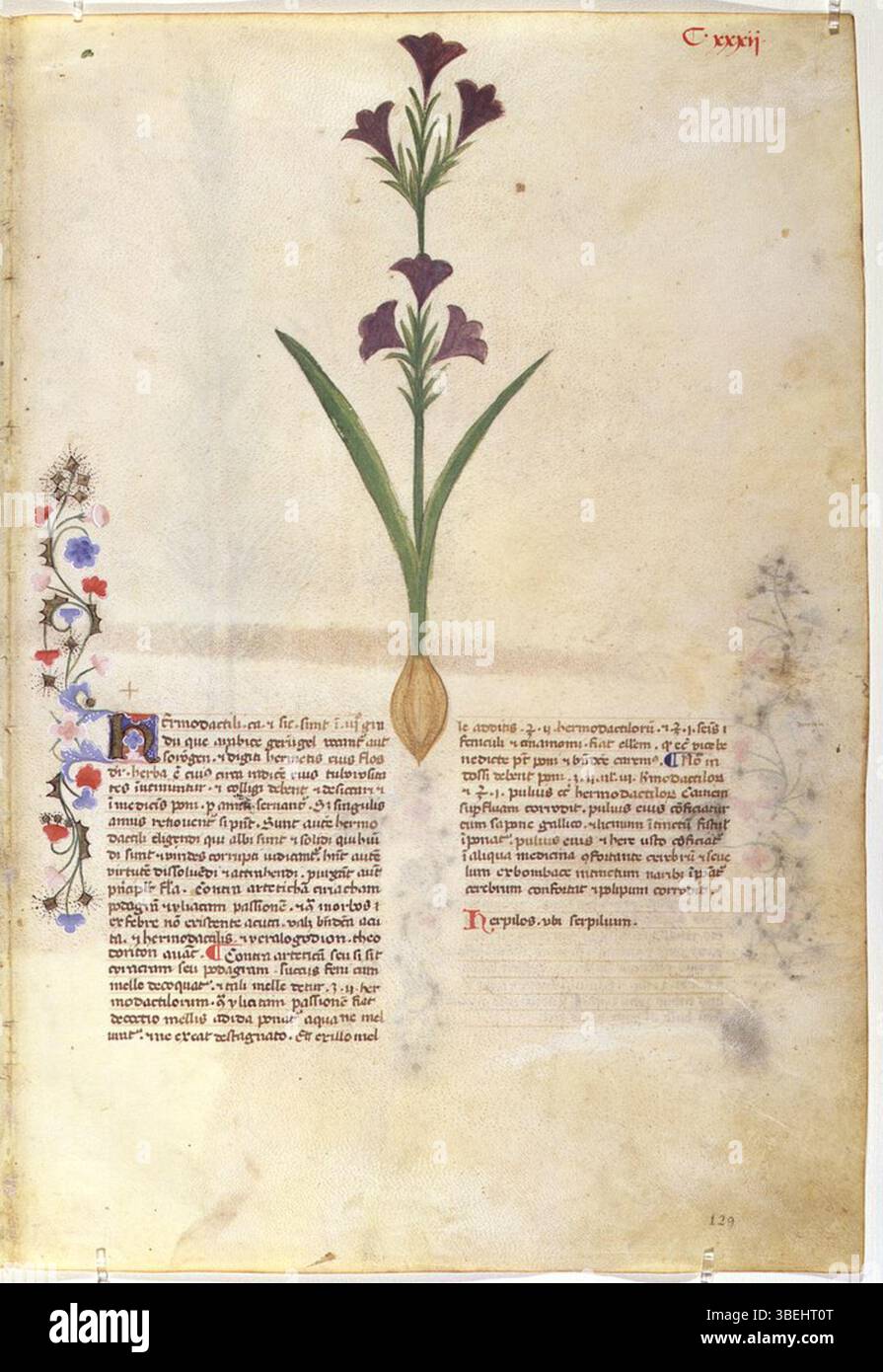 This page from the Casanatense 459 manuscript, dated between 1395 and ...