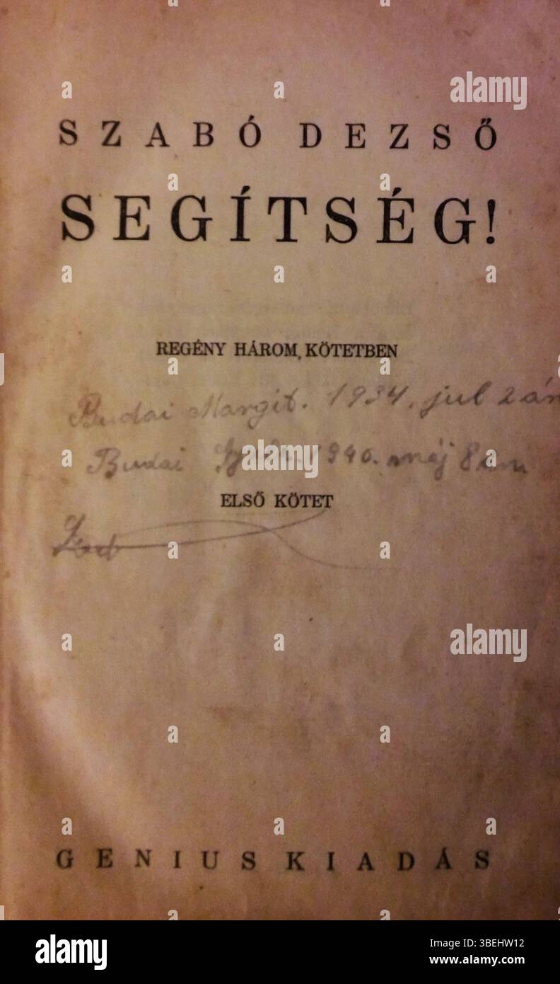 Szabó Dezs's 'Segítség!' from the 1920s depicts the hardships and ...