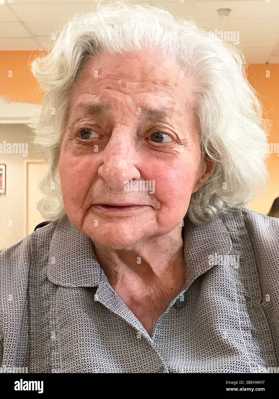 Portrait of old lady Stock Photo - Alamy