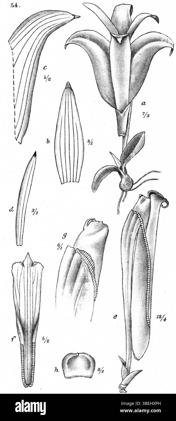 Published 1913 Cut Out Stock Images & Pictures - Alamy