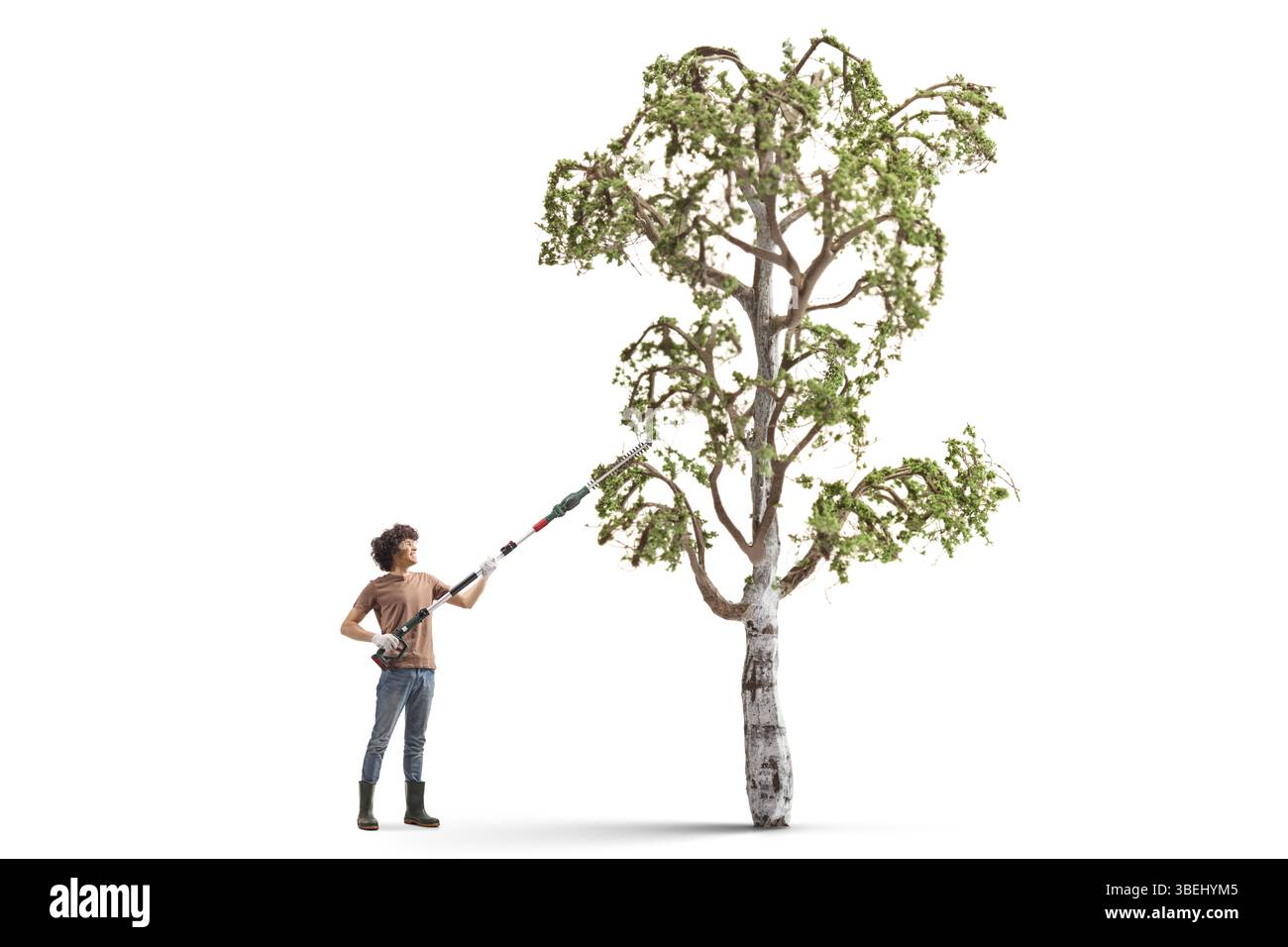 Young man cutting tree branches with a trimmer isolated on white ...