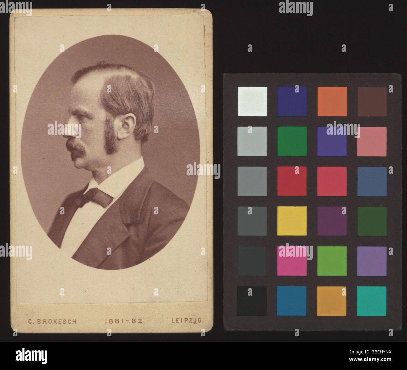 A black-and-white photograph of Wilhelm His-Vischer taken between 1881 ...