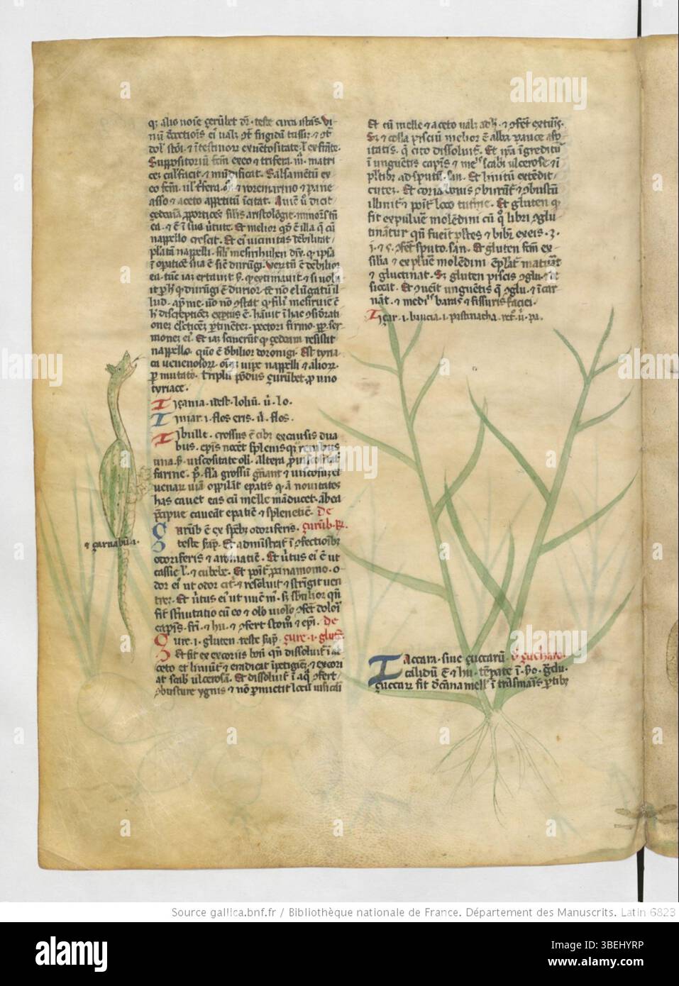 Folio f.169v from BnF Latin 6823, attributed to Manfredus de Monte ...