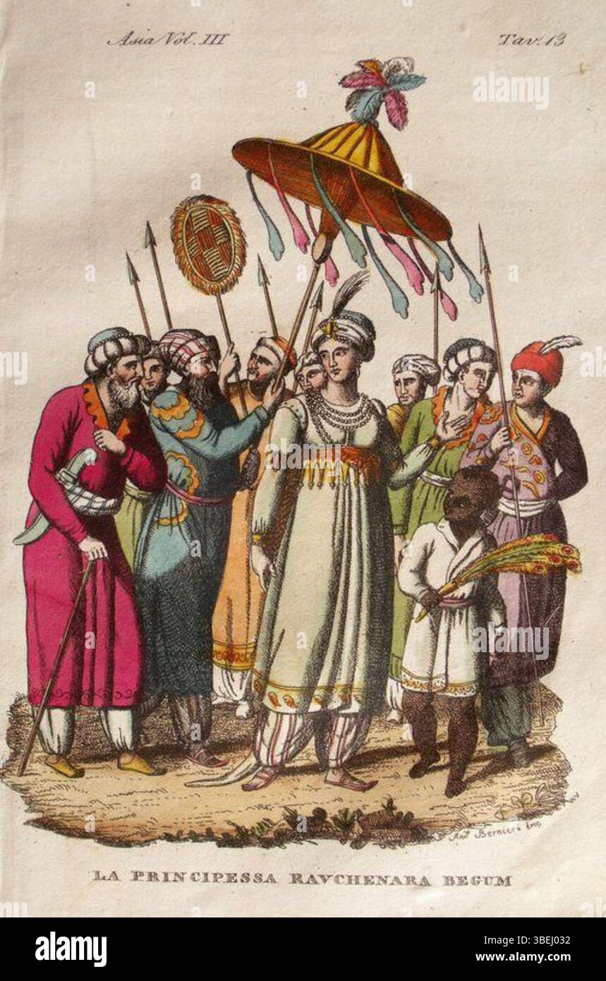 This imagined depiction illustrates Roshanara Begum, a prominent ...