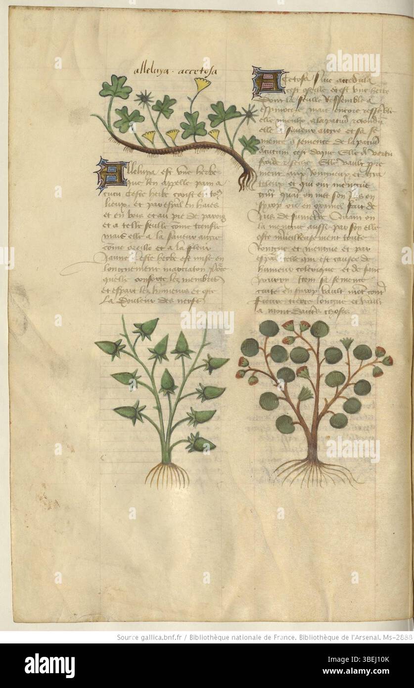 Arsenal Ms-2888 folio 024v displays 15th-century manuscript writing ...