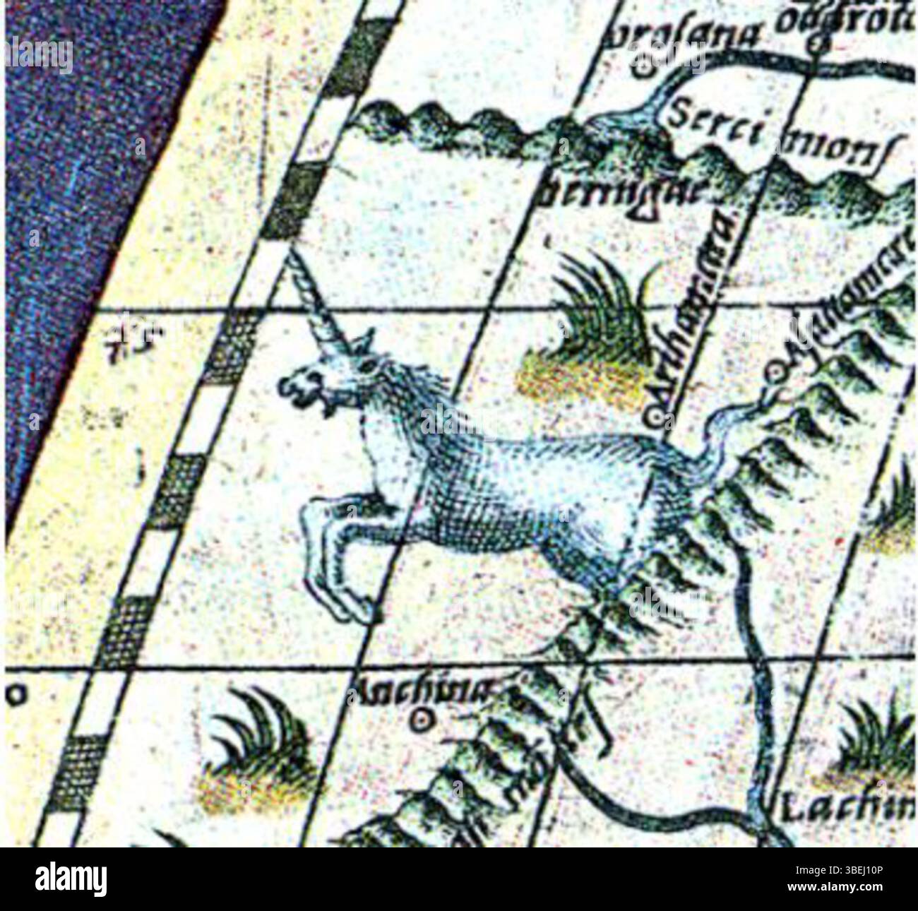 Sebastián Cabot’s map of the world from the second quarter of the 16th ...