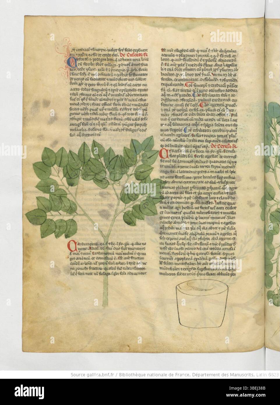 The manuscript BnF Latin 6823, folio 035v, showcases additional ...