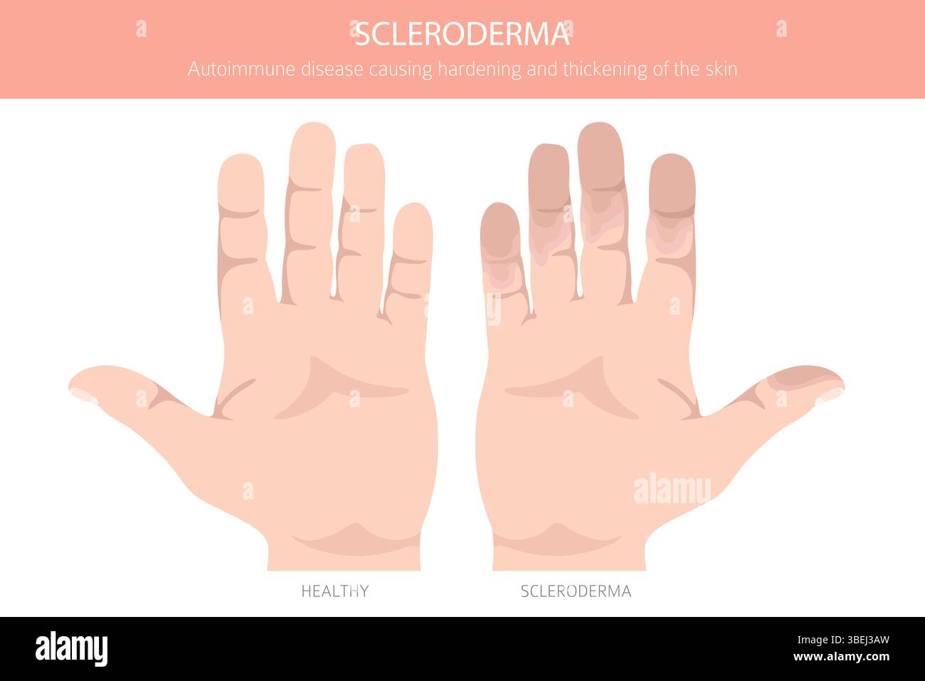 Infographic internal human organs Stock Vector Images - Alamy