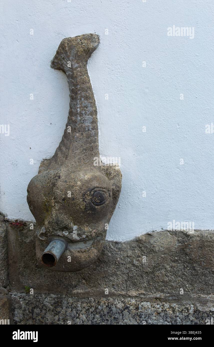 Tanque largo hi-res stock photography and images - Alamy