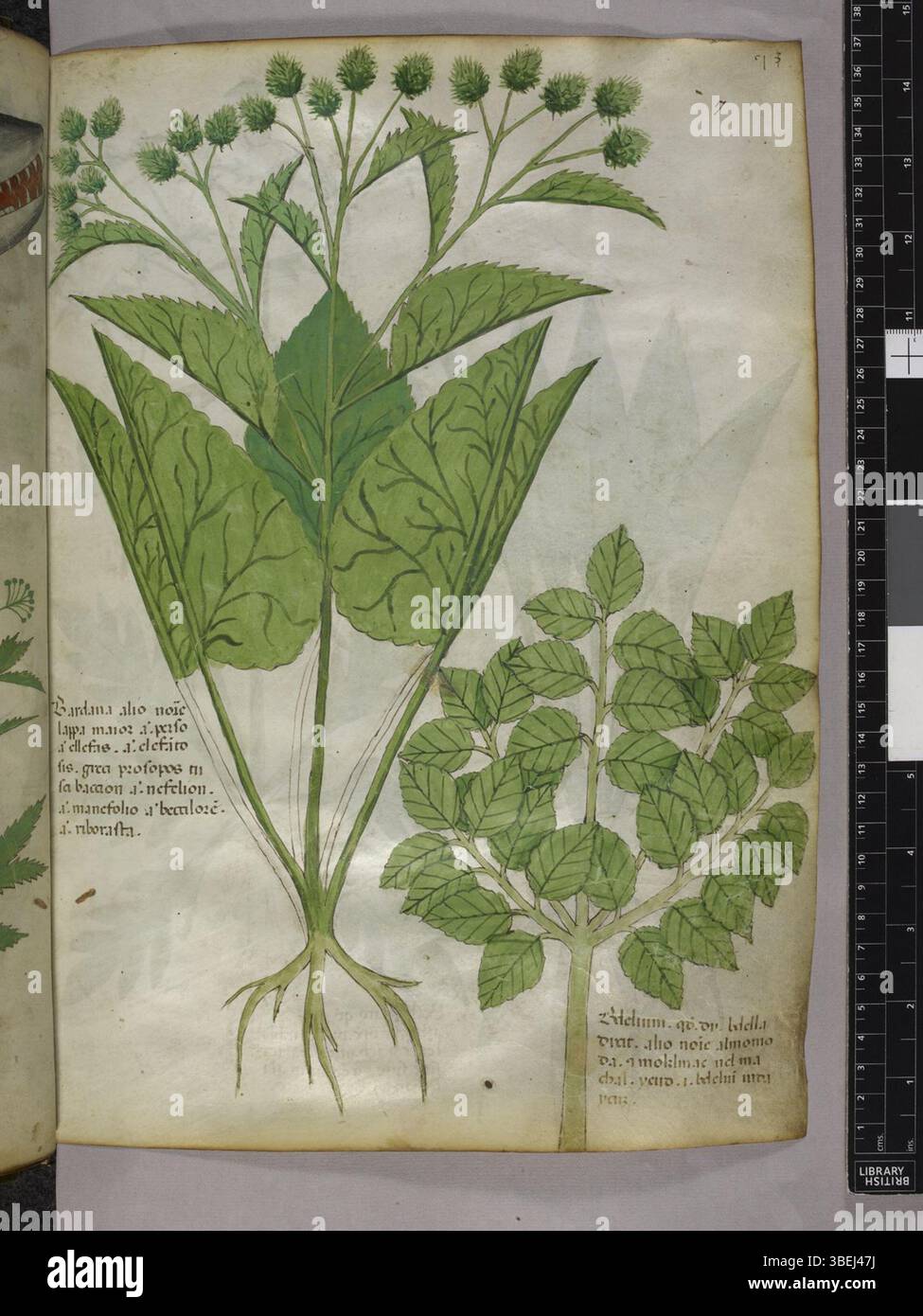 BL Sloane 4016, f.017r is a manuscript page from the early 15th century ...