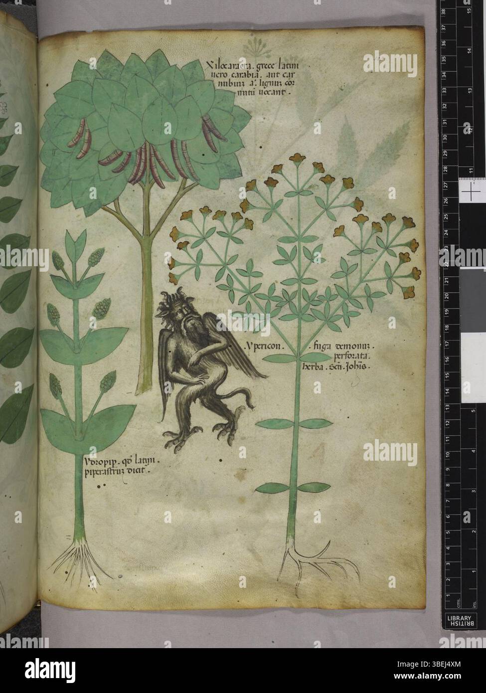 The folio f.103r from the BL Sloane 4016 manuscript, circa 1440, shows ...