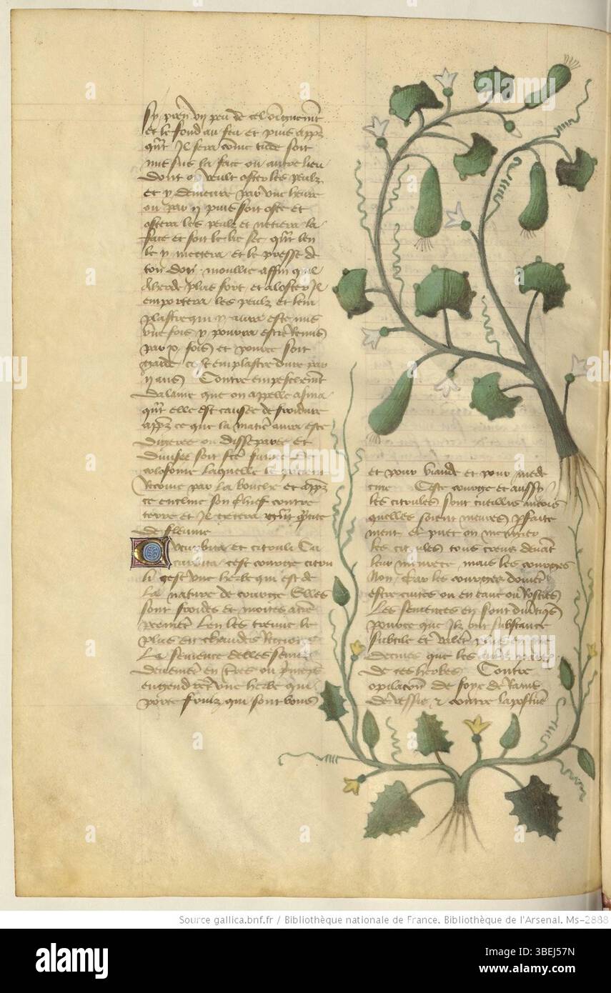 This folio from *Arsenal Ms-2888*, dated between 1425 and 1450 ...