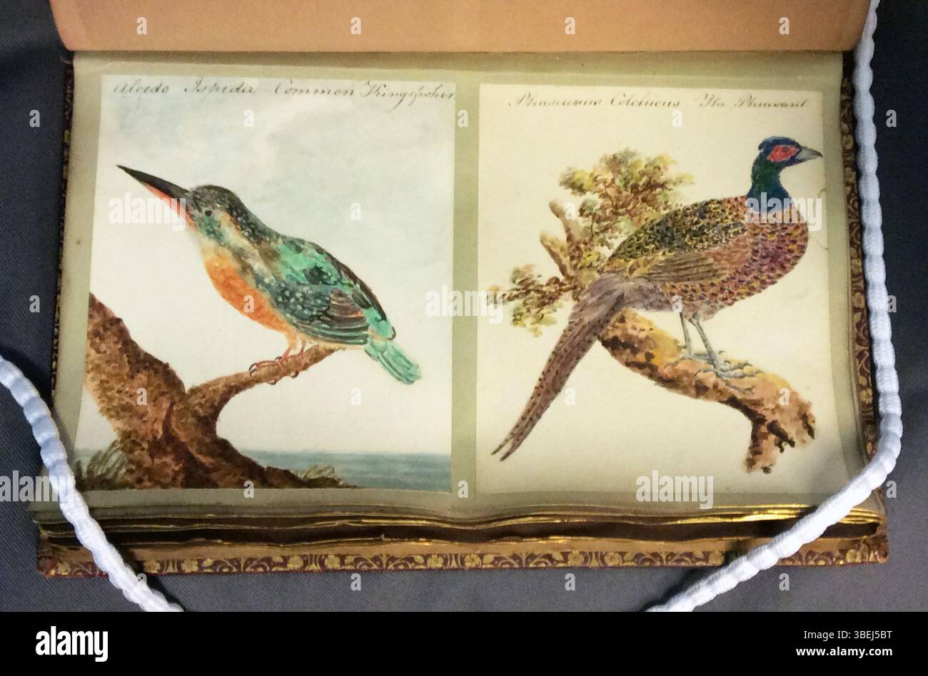 Border between devon and cornwall hi-res stock photography and images ...