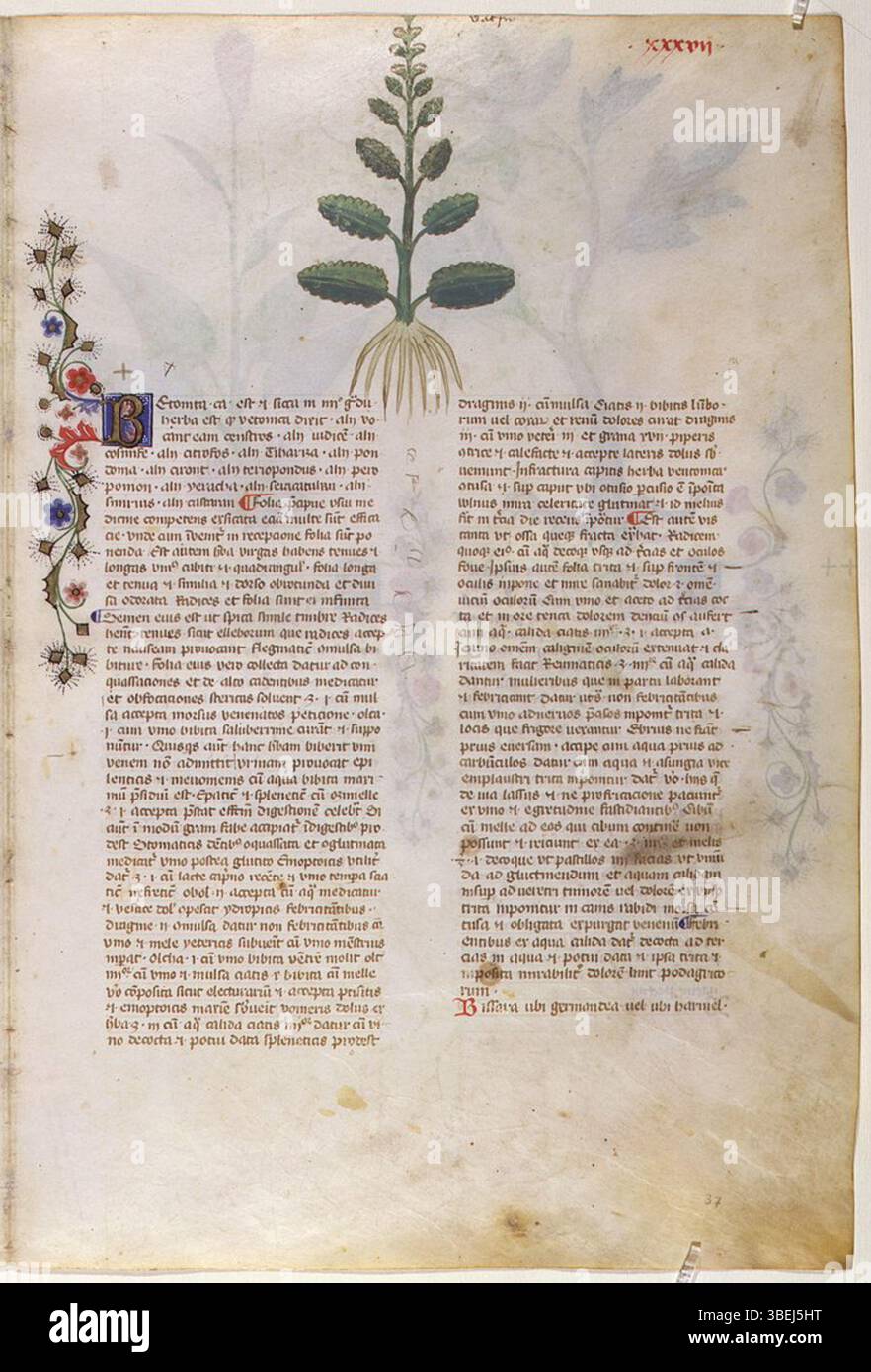 The manuscript Casanatense 459, folio 037r, dating between 1395 and ...