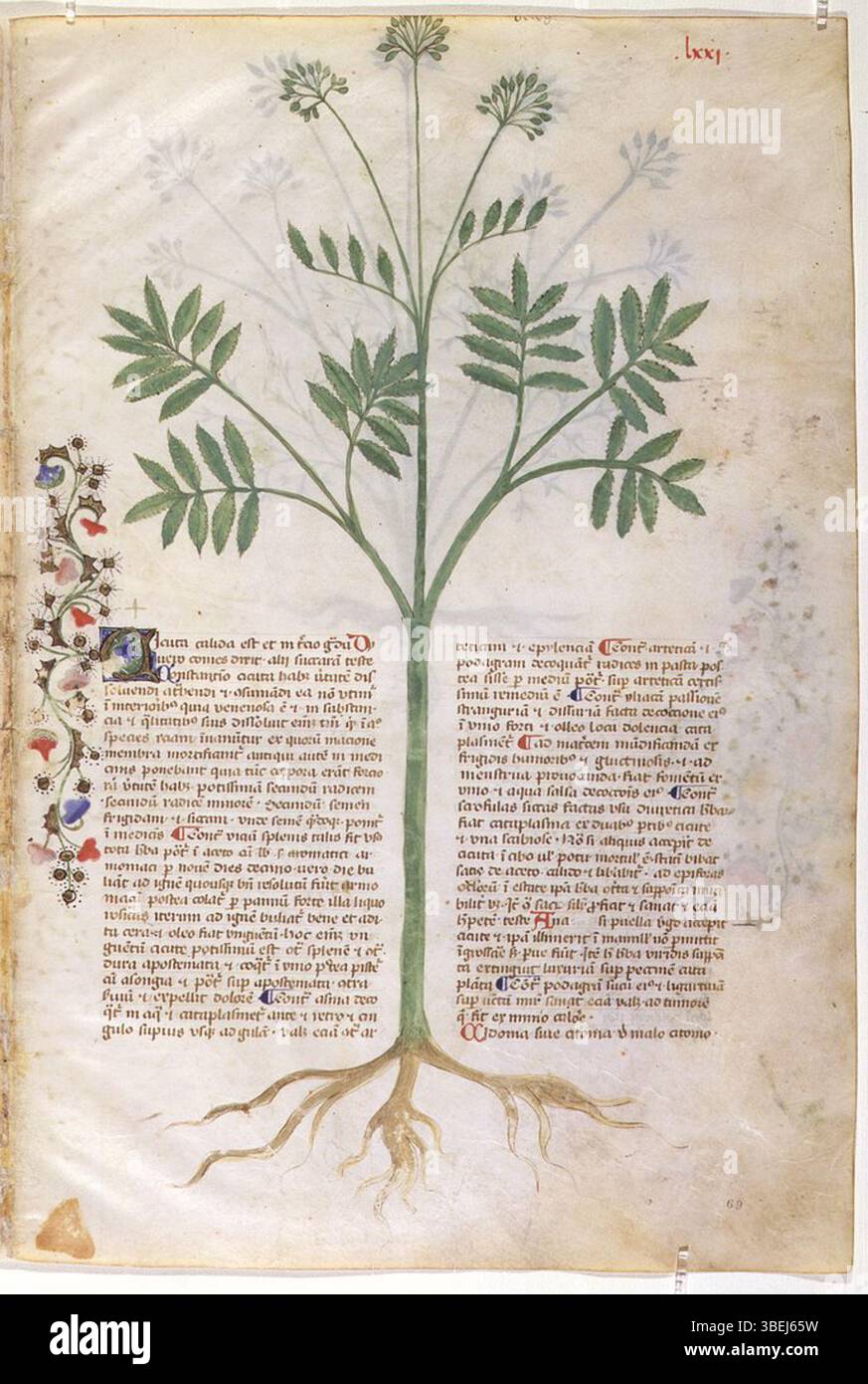 Page f.071r from the manuscript *Casanatense 459*, dating between 1395 ...