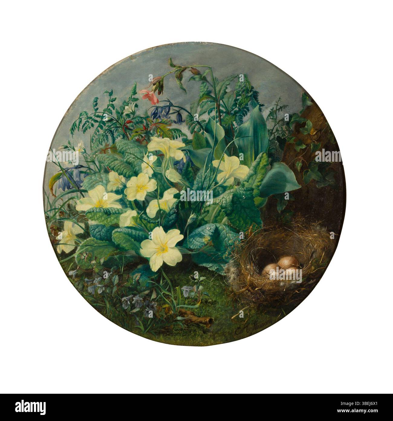 Circular composition featuring soft Cut Out Stock Images & Pictures - Alamy