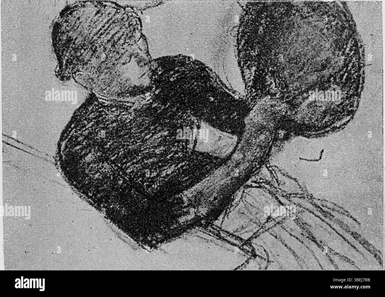 Milliners shop hi-res stock photography and images - Alamy