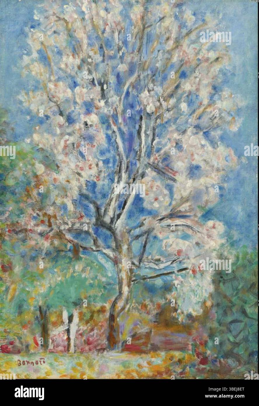 'L'Amandier' (The Almond Tree) by Pierre Bonnard captures a serene ...