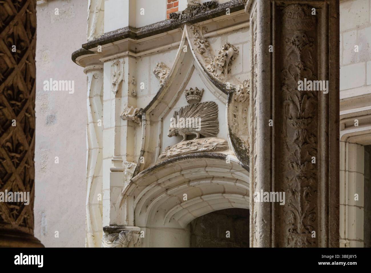 Schloss Chateau Royal de Blois, Blois, Departement Loir-et-Cher, Region ...